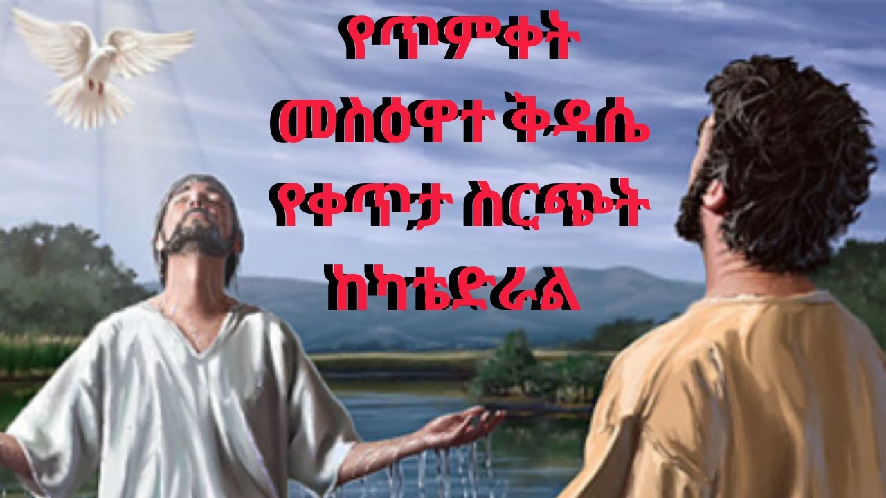 የጥምቀት መስዋዕተ ቅዳሴ የቀጥታ ስርጭት ከካቴድራል አዲስ አበባ ሀገረ ስብከት ሰላም ካቶሊክ ቲቪ Pax