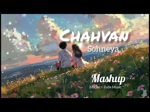 Chahvan Shneya - Dany || Rohit Zinjurke || Roshni Waliya || Slowed x Reverb || Edit By Zuiie Music
