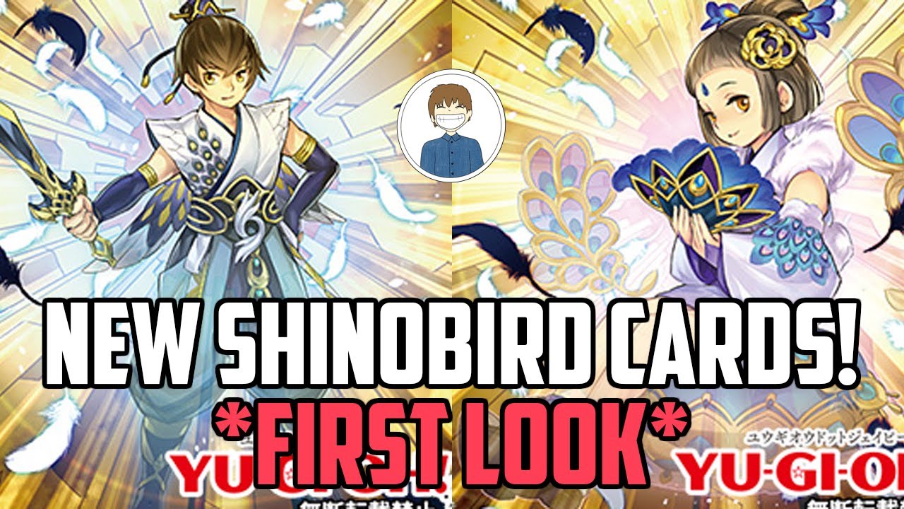 NEW SHINOBIRD CARDS! *First Look* AGOV Yu-Gi-Oh! - YouTube
