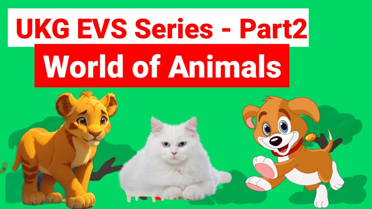 World of Animals | EVS series -Part2 | UKG EVS Classes - YouTube