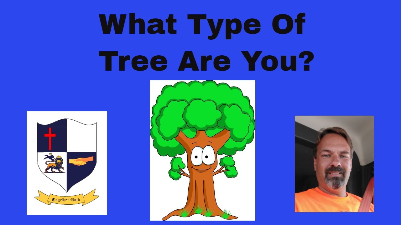 What Type of Tree are You? - YouTube