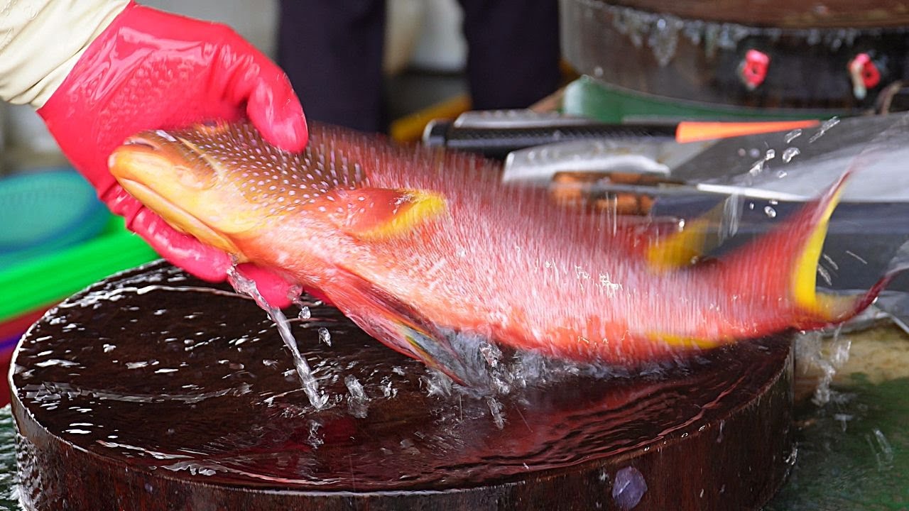 Taiwan Traditional Fishing Market - Delicious Red Coral Trout Cutting ...