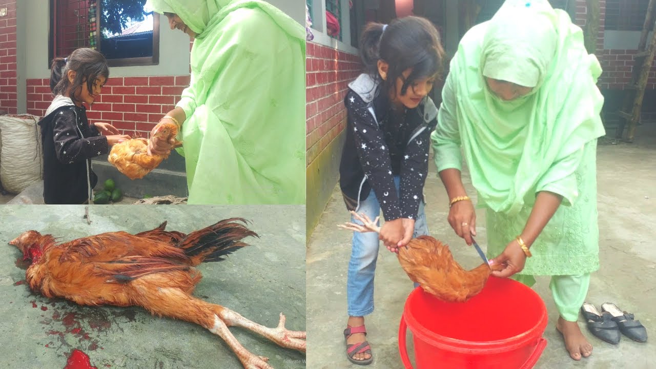 girls slaughter chicken, How to process chicken cutting at home ...