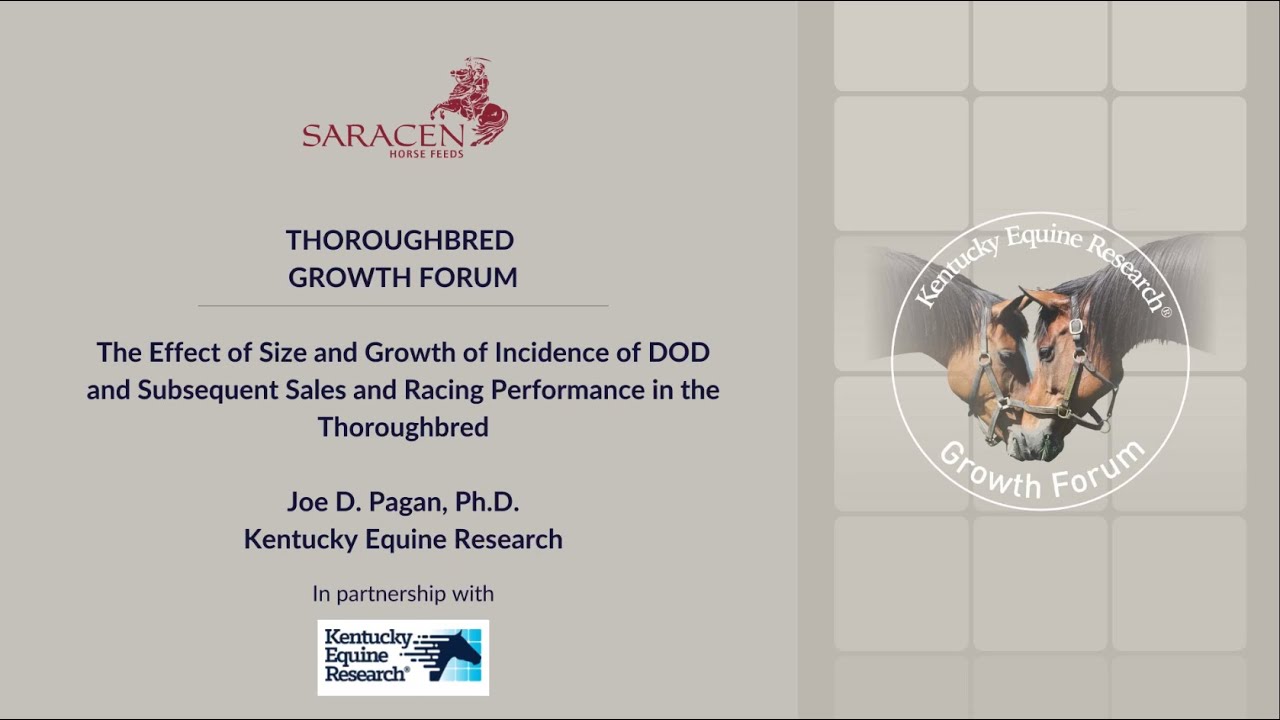 Thoroughbred Growth Forum: Dr. Joe Pagan Presents Growth Study Results ...