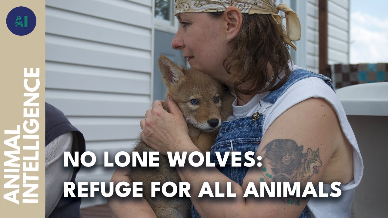 Love doesn’t discriminate: family caring for all animals | AI - YouTube