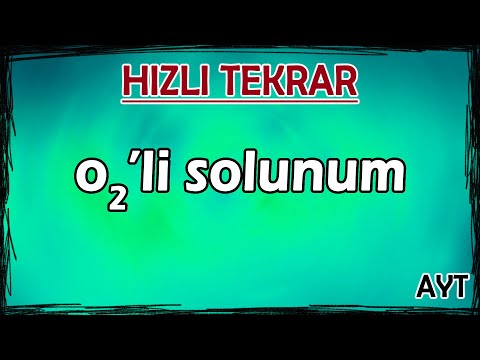 Oksijenli Solunum - Hızlı Tekrar