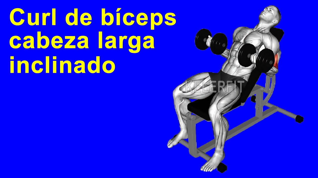 Ejercita el bíceps con la rutina curl de bíceps cabeza larga inclinado ...