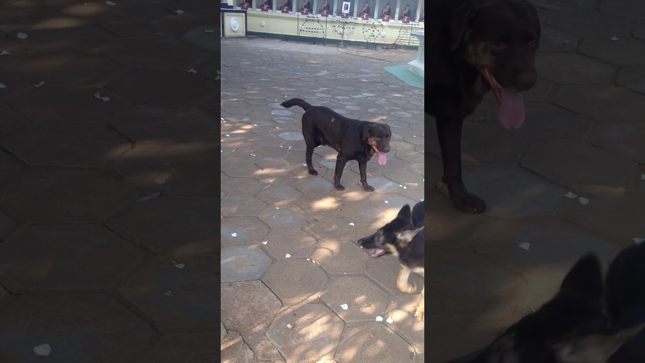 Ricky @ Rax - YouTube