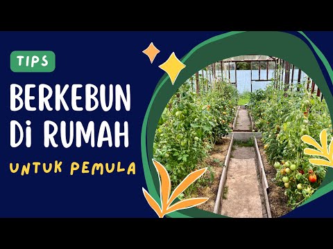 5 Tip Berkebun di Rumah untuk Pemula – Halaman Sempit Bukan Kendala
