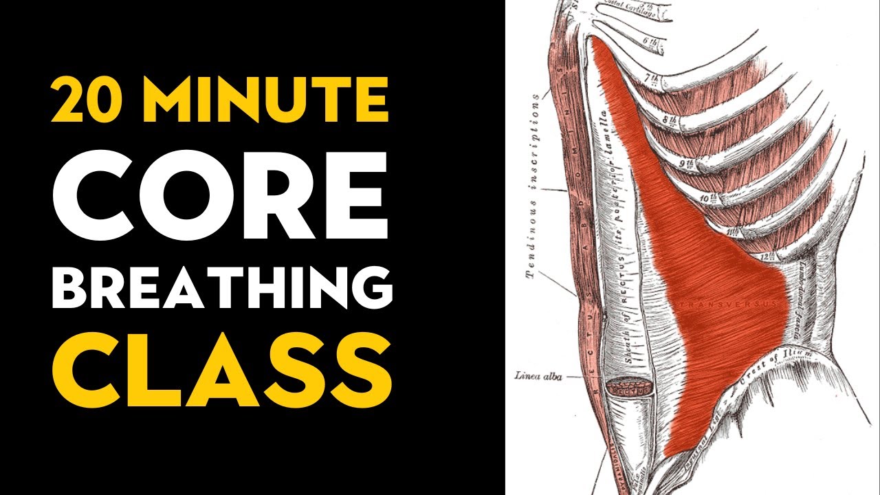 TVA Train (Start Here For Core Breathing) - YouTube