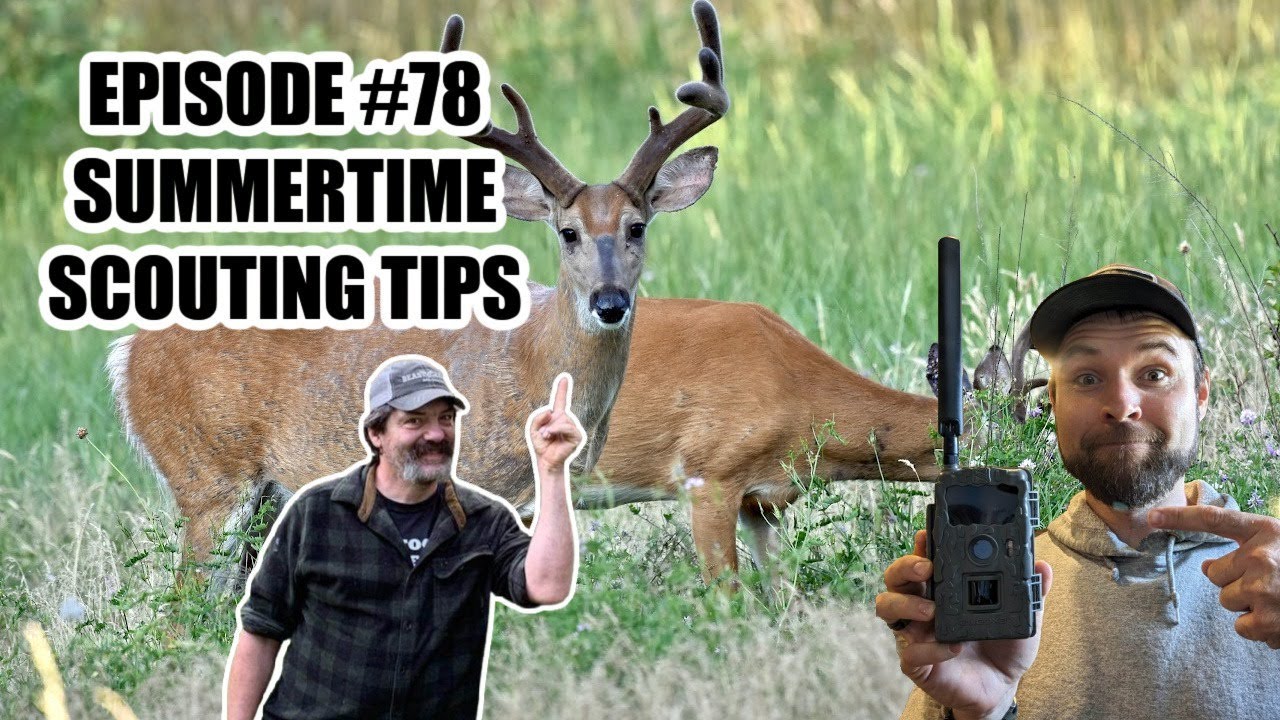 Episode #78 - Summertime Scouting Tips for BIG BUCKS - YouTube