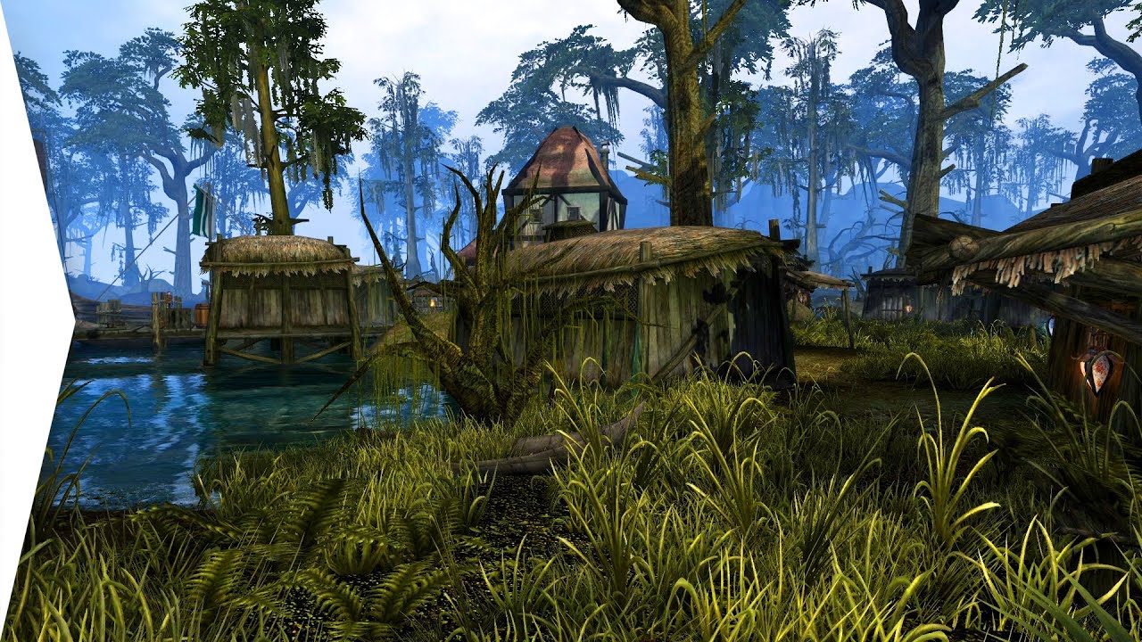 Serene Swamp Ambience ASMR for Stress Relief and Calming in Morrowind ...