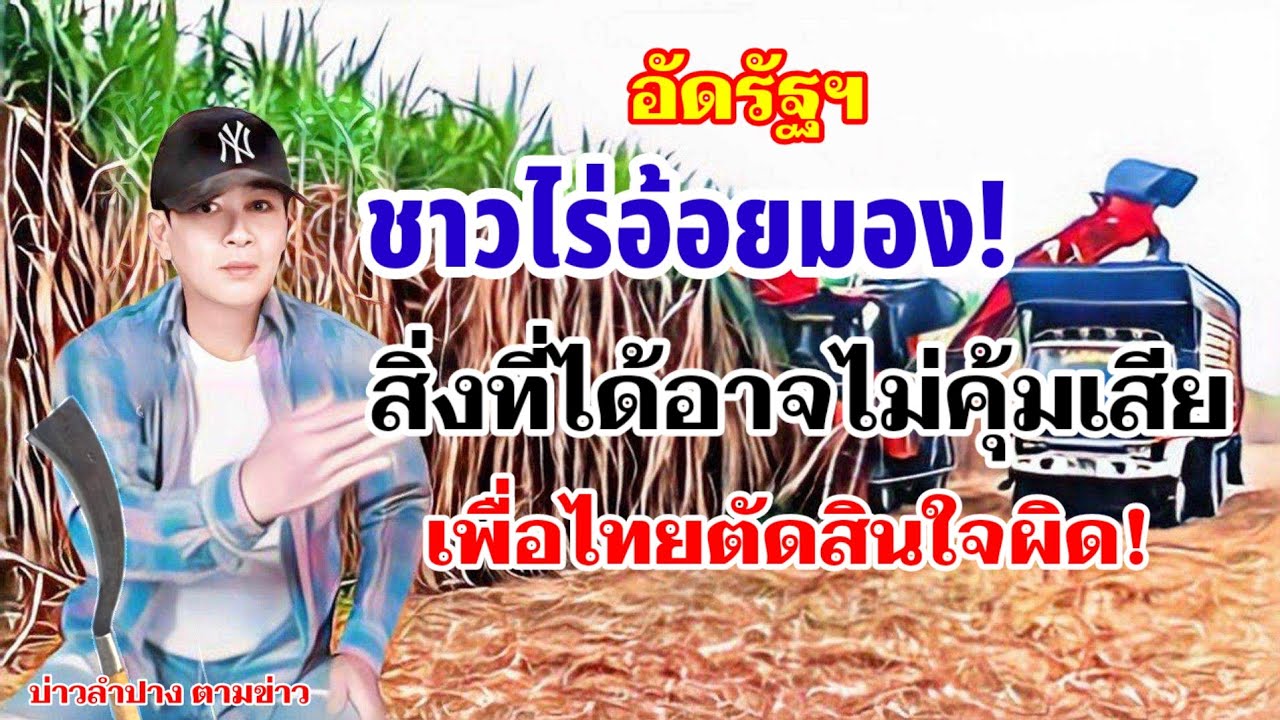 แจง! เกษตรกรชาวไร่อ้อยมองรัฐบาลรีบคุมราคาน้ำตาล กระทบผู้ปลูกโดยตรง อาจ ...