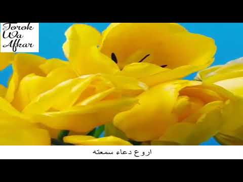 do3aa 2 - YouTube