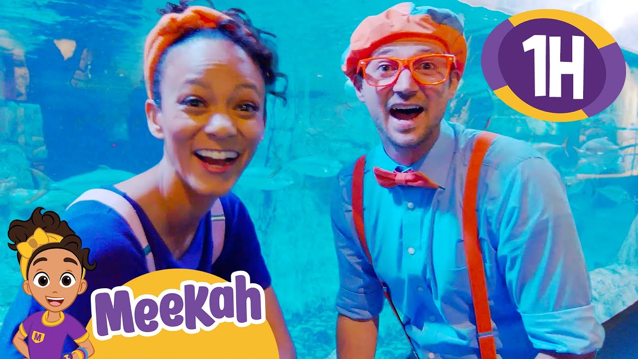 Meekah & Blippi Visit an Aquarium | Educational Videos for Kids ...