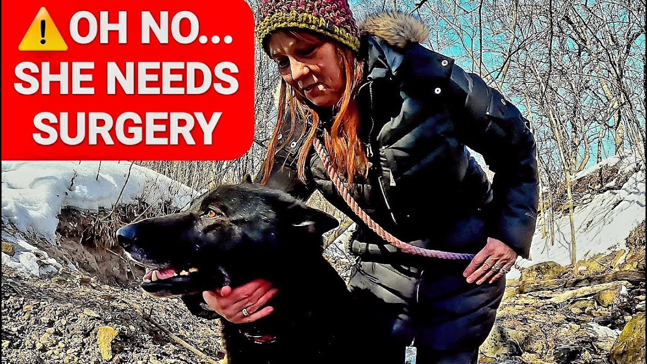 Oh No... She Needs Surgery to Fix it! - YouTube