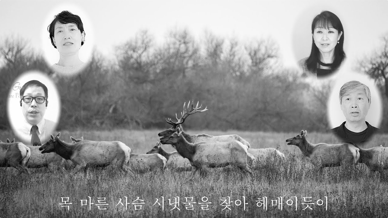 목마른 사슴 (혼성 아카펠라) "As the Deer" by Martin Nystrom - YouTube