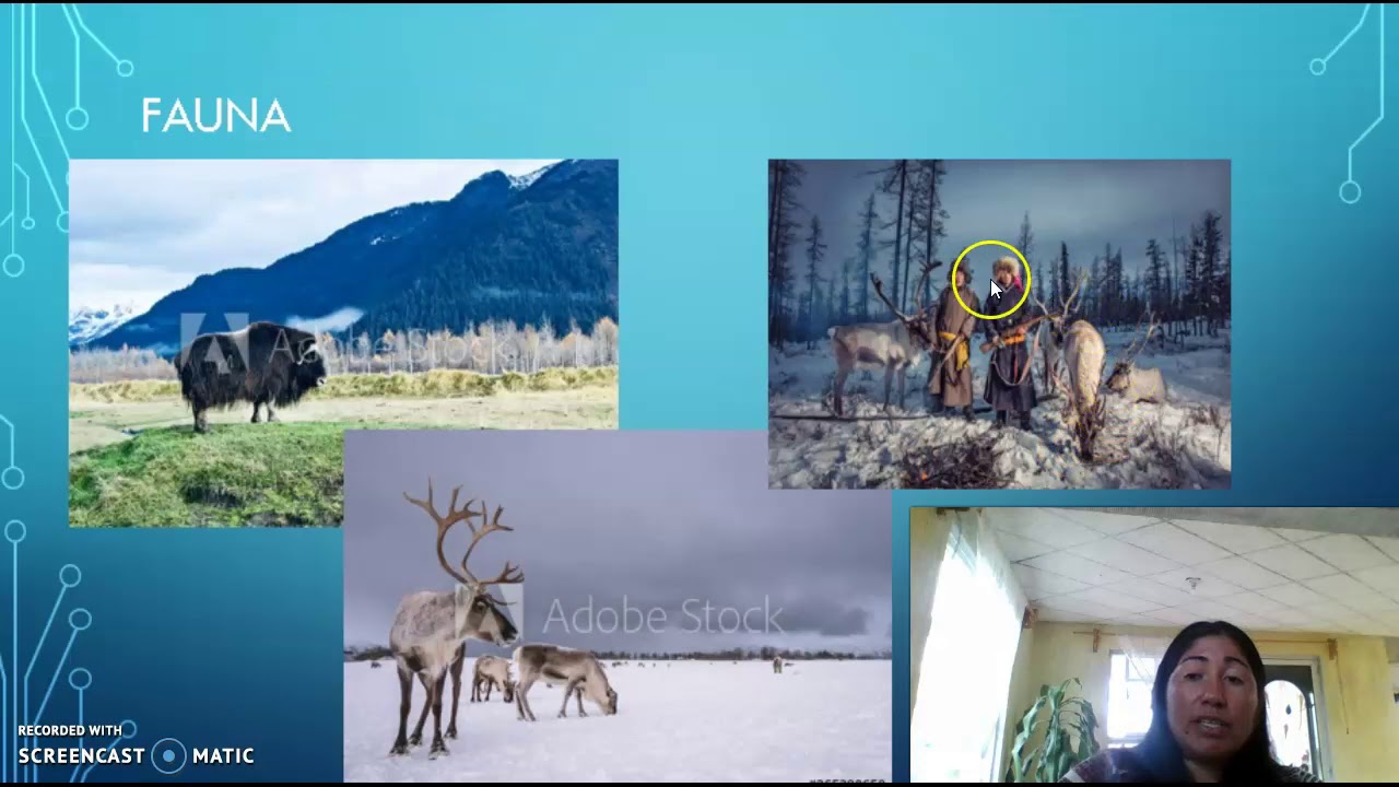 Regiones naturales de clima frío - YouTube