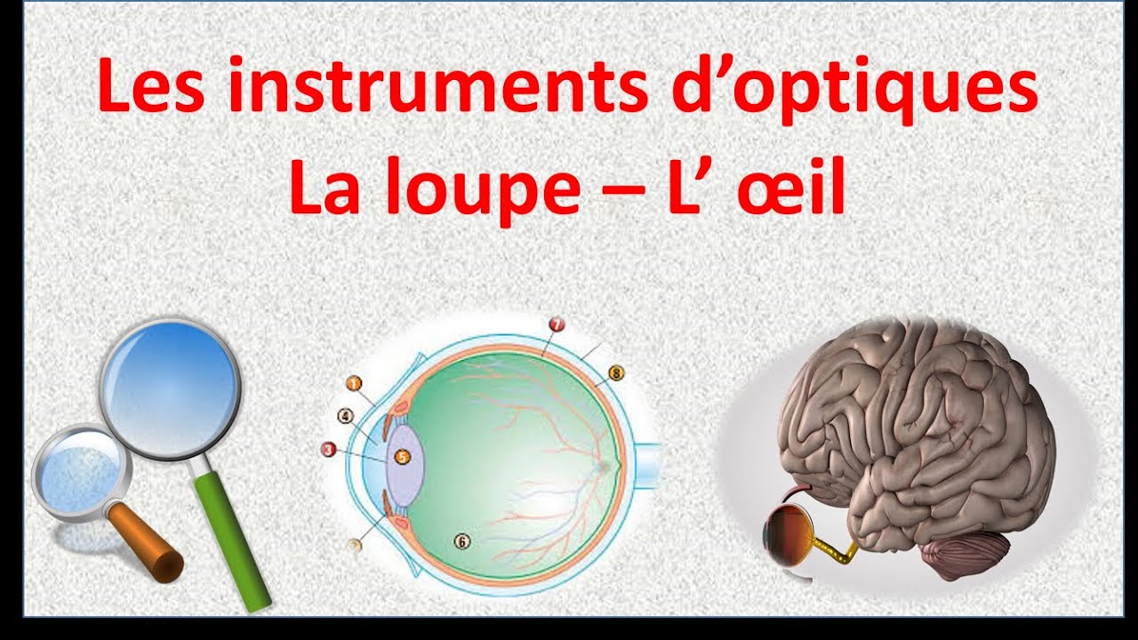 les instruments optiques ( loupe et l’œil ) - YouTube