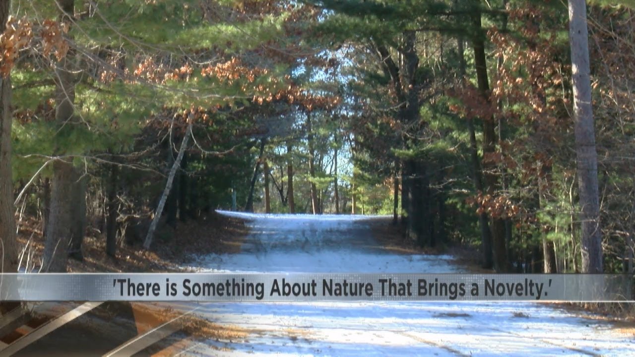 'There is something about nature that brings a novelty.' - YouTube