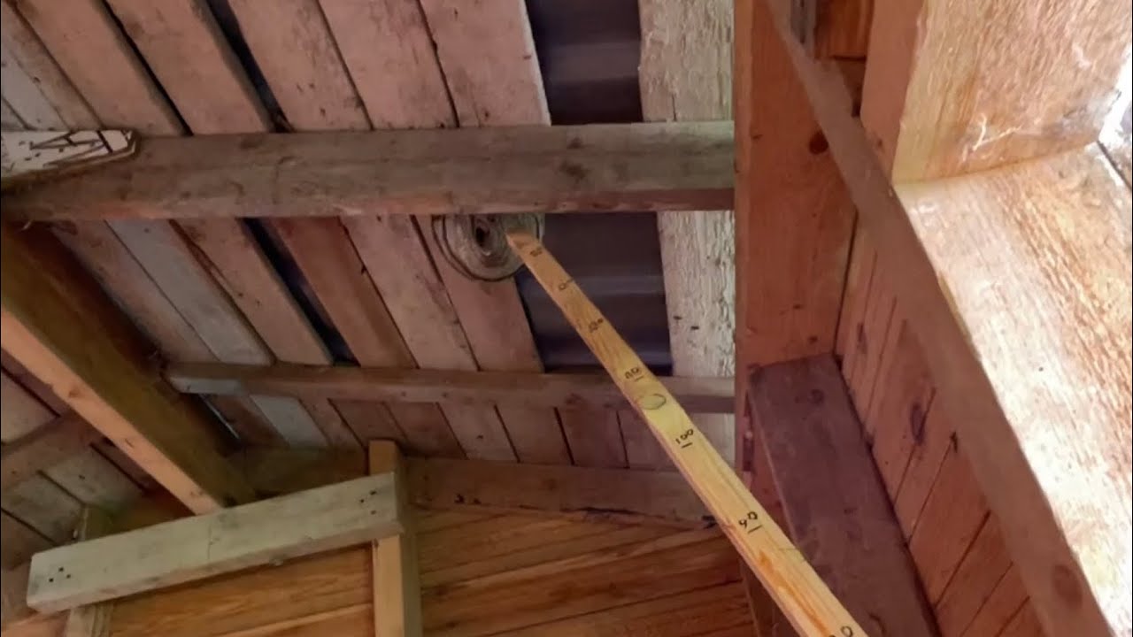 Ampiais hyökkäyksiä ja kissalla valtava saalis - YouTube