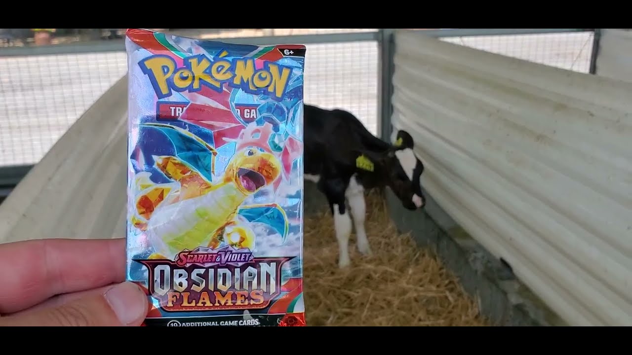 Pokemon "Baby Cow" Pack opening - YouTube