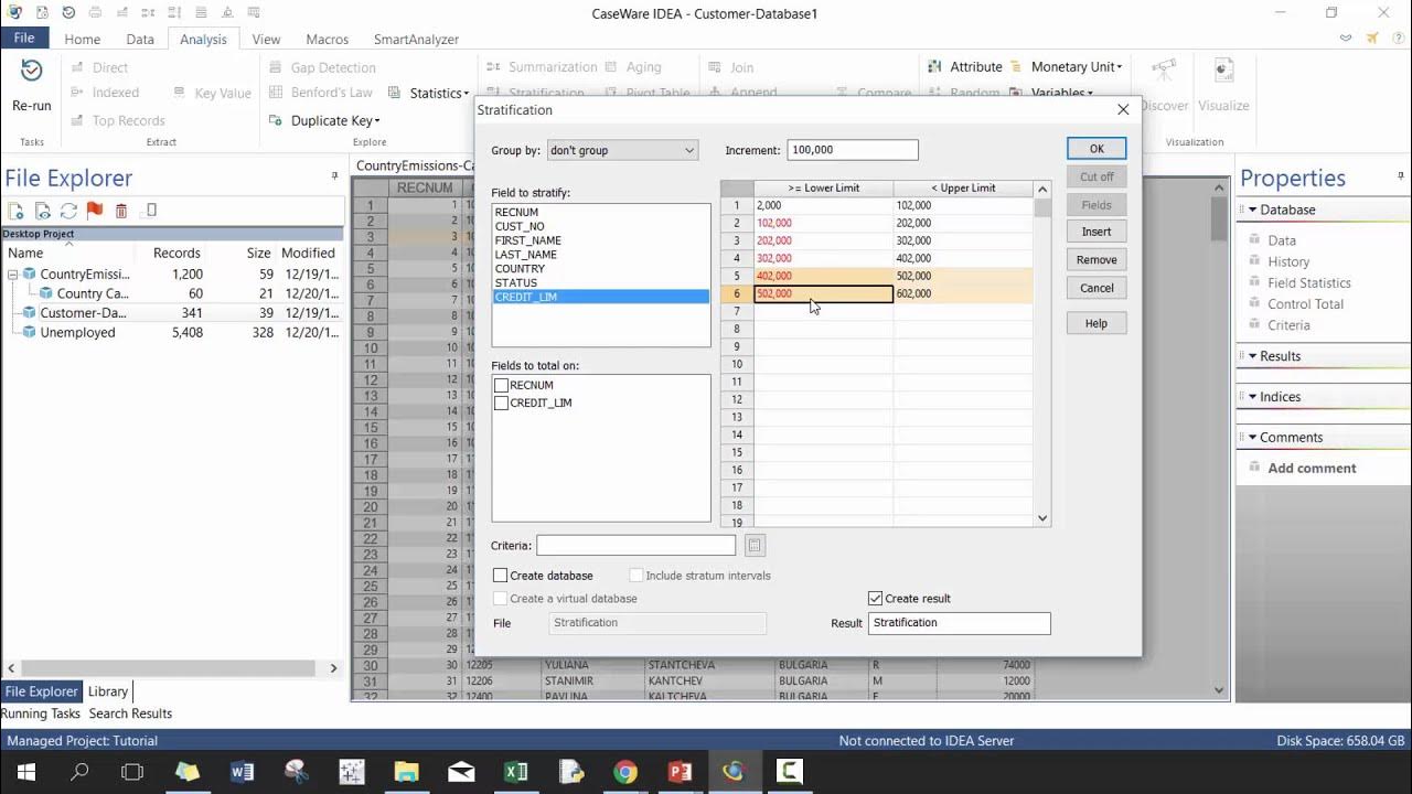 Introduction to IDEA V10 - Lesson 03 (Categorizing Data) - YouTube