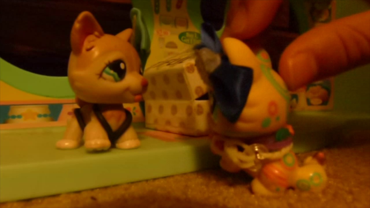 LPS: sleepover / with CrystalCheethah3000 - YouTube