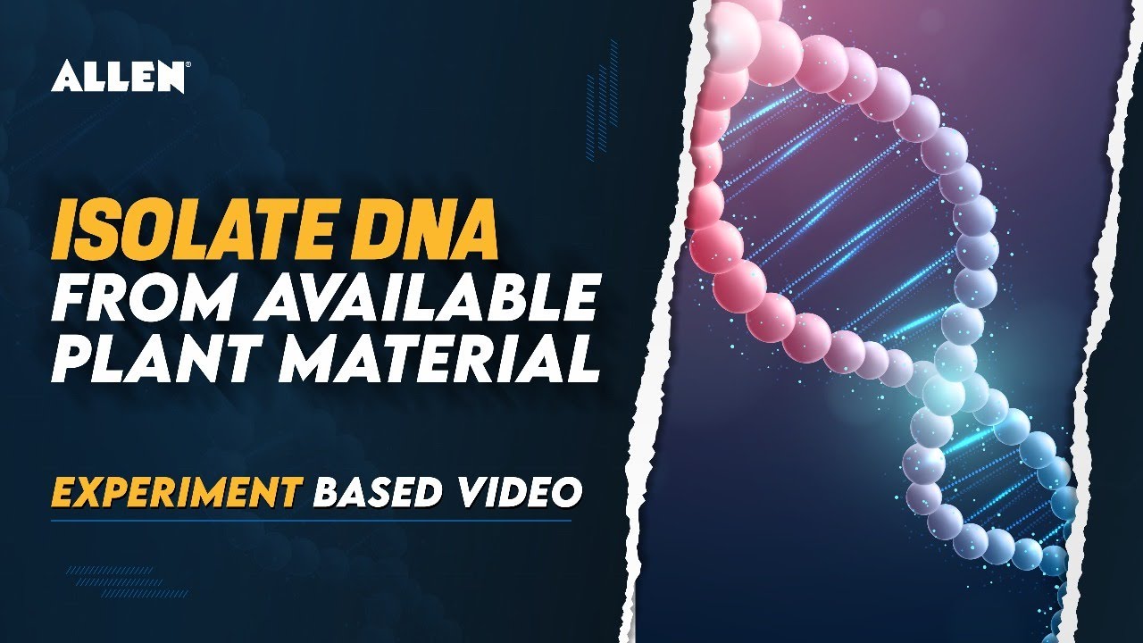 Isolate DNA From Available Plant Material Experiment Based Video isolate-dna-from-available-plant-material-experiment-based-video