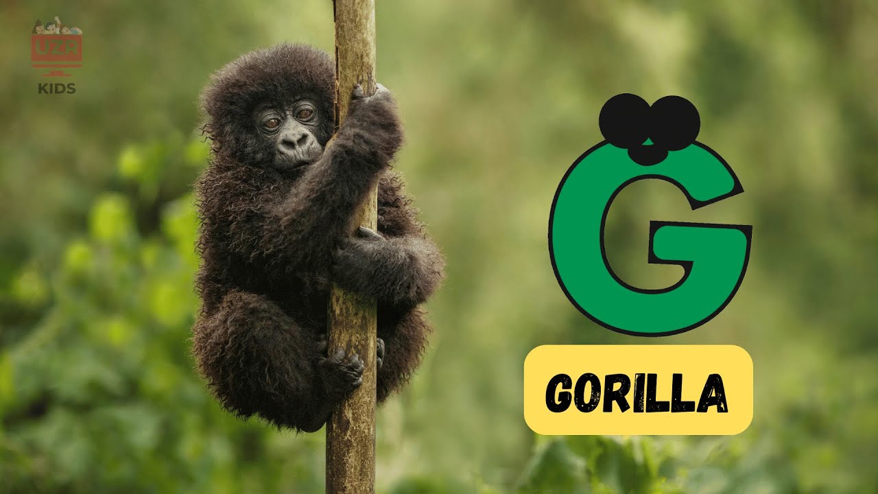 A to Z Wild Animals Song 🎵 | Fun ABC Animal Learning for Kids! 🦁🐻🐒 | # ...