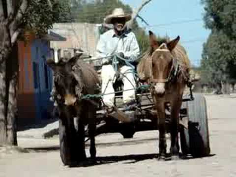 Recuerdos del ayer y del ahora, carro de mulas - YouTube