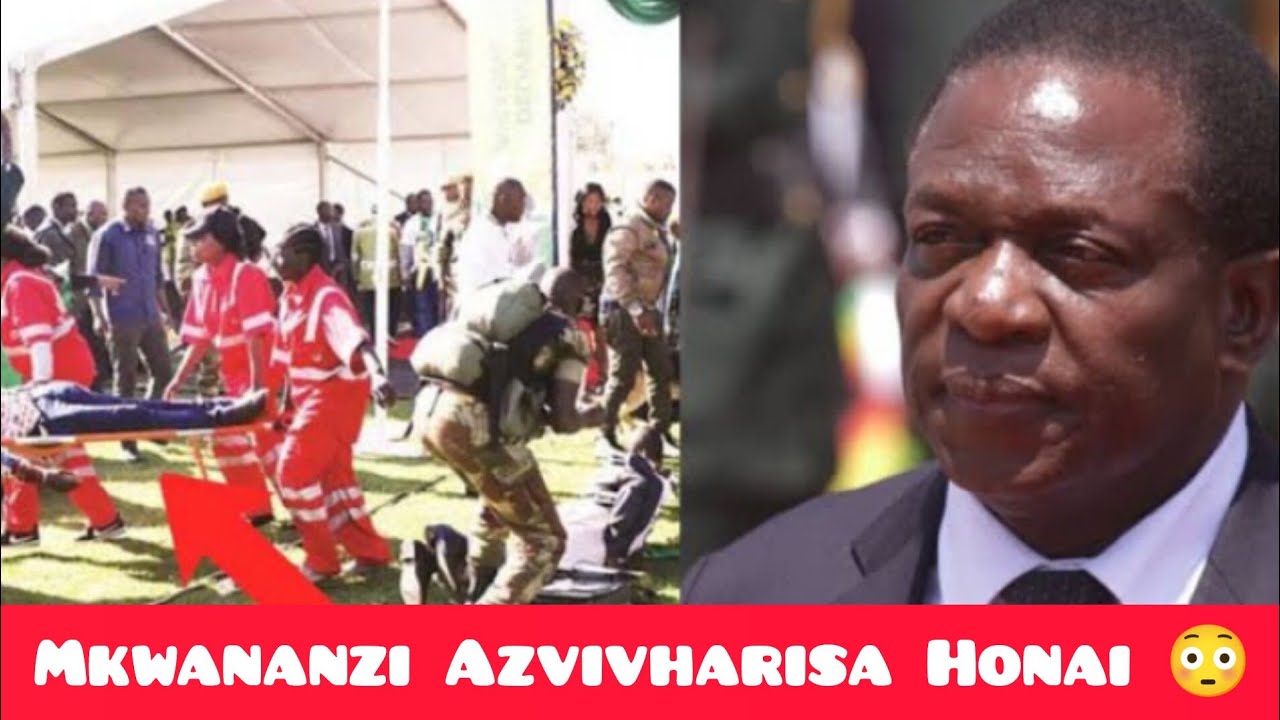 Mkwananzi Ovharisa Parliament yaMnangagwa Hona 😳 - YouTube