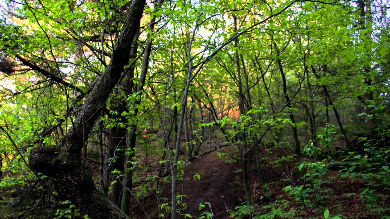 Spring in the Nebraska Sandhills! - YouTube