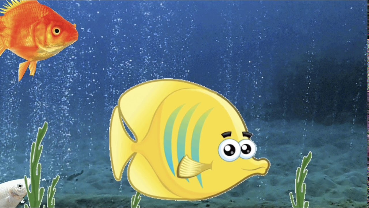 Grade 1 -- Science -- Fish - YouTube