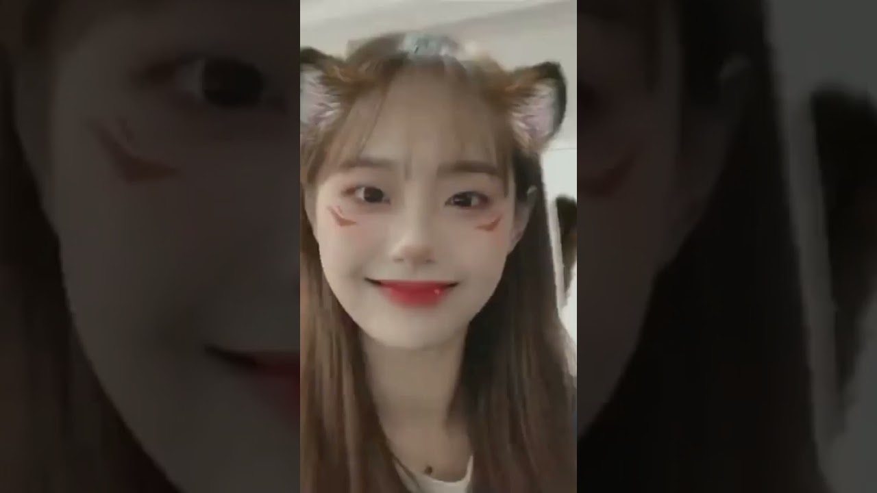 Chuu cat or Chuu tiger 🐅 🐈 #kpop #loona #chuu #tiger #cat #cute - YouTube