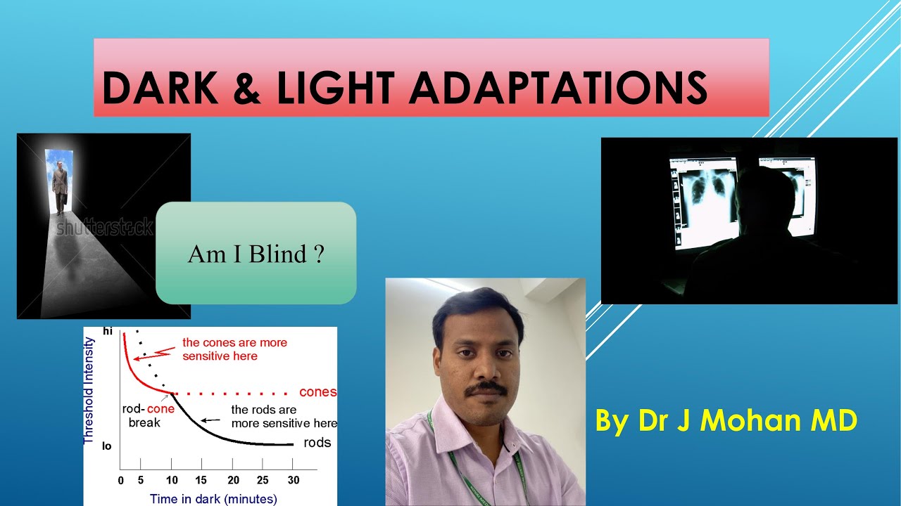 Dark and Light Adaptation I Physiology special senses I Medical ...