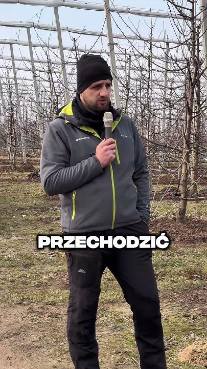 Mamy około 10 hektarów czereśni Kordii i Reginy. Problem polega na tym, co posadzić PRZED nimi ...