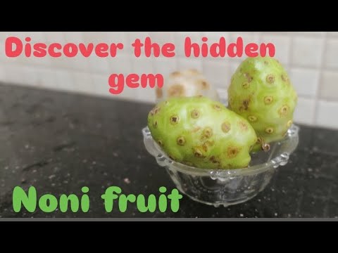 BENEFITS OF NONI:The MIRACLE FRUIT 🍈 - YouTube