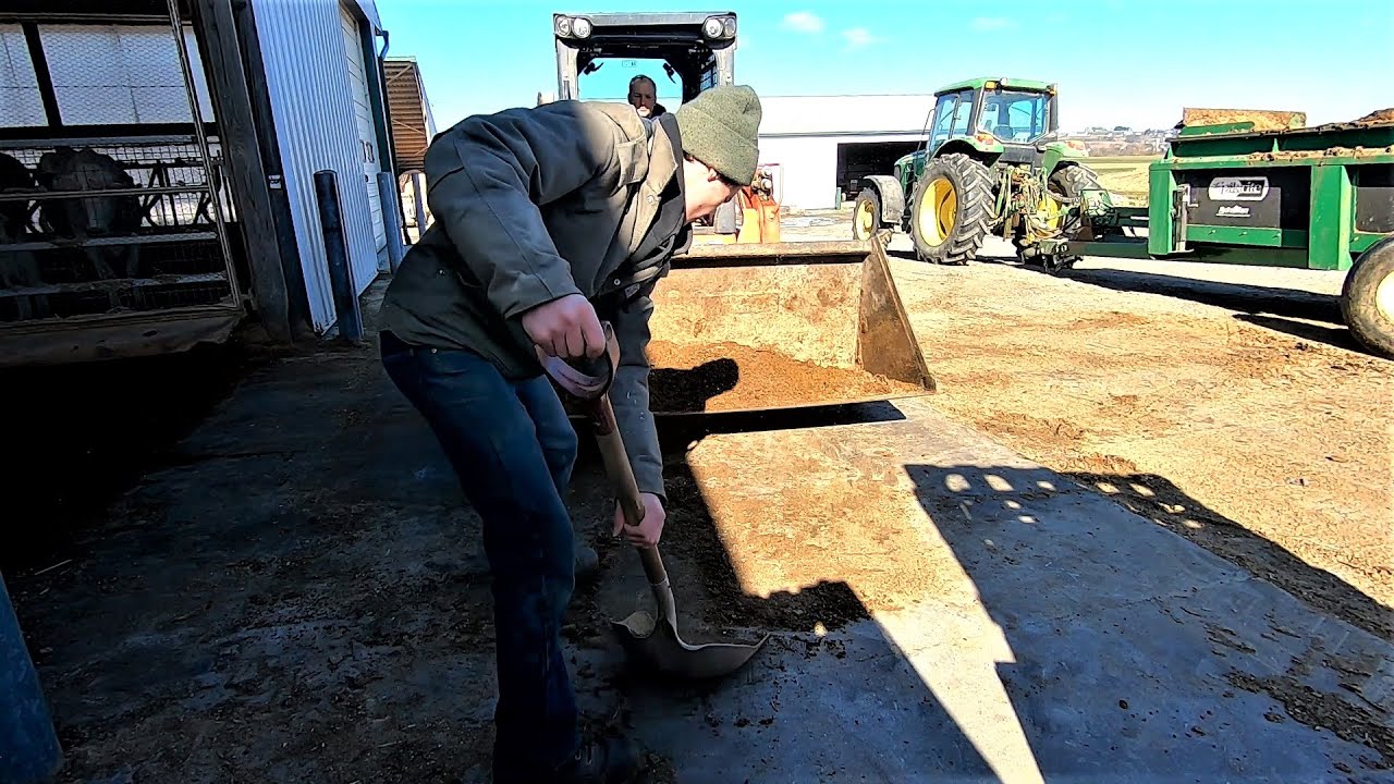 Hauling Bed Pack Manure - YouTube