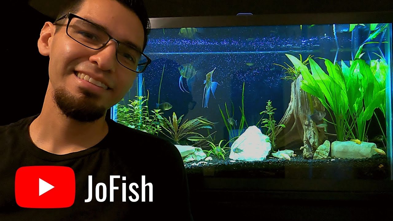 Who is JoFish?? - YouTube