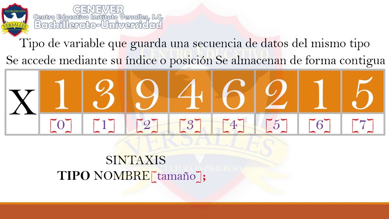 Vectores Unidimensionales - YouTube