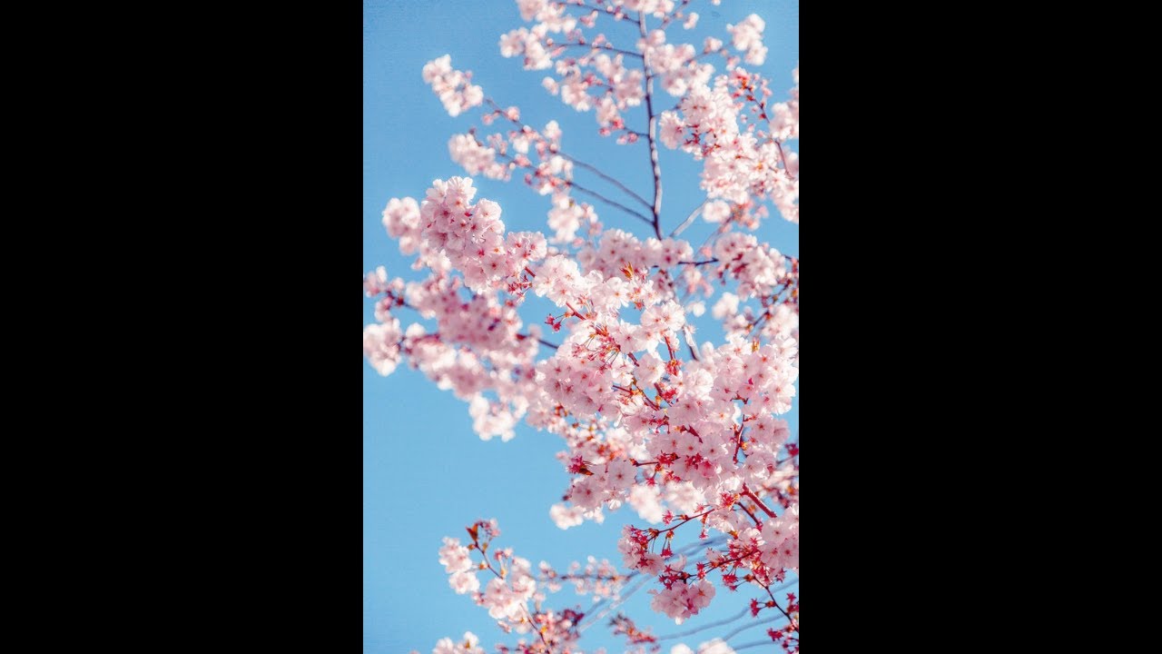 [FREE] Guitar X Interlude Type Beat - "Burst" - YouTube