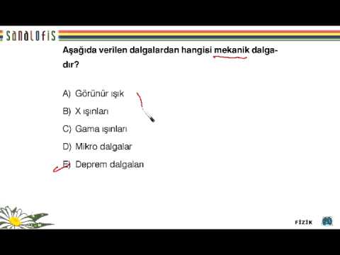 Dalagalar Uyg. - 1 - u5 - 96167