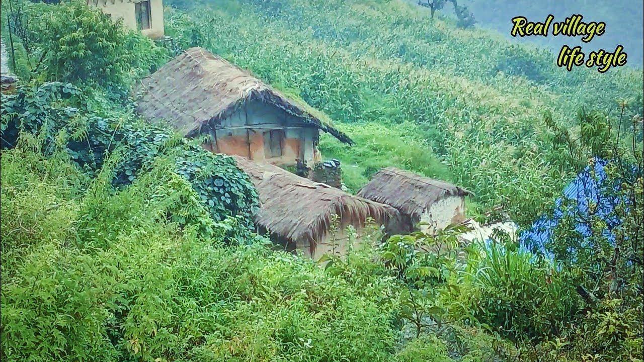 Rural Life style and Relaxing life || Beautiful place and cool nature ...