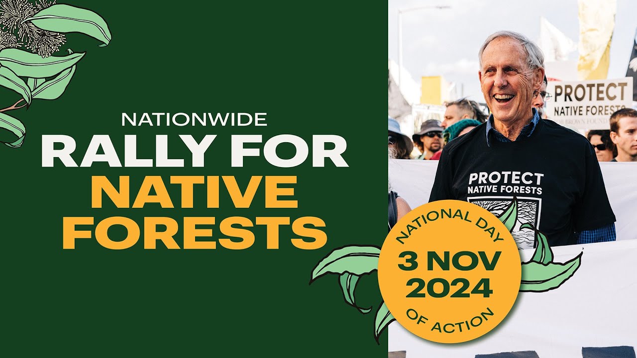Nationwide rallies for native forests — 3 November! - YouTube