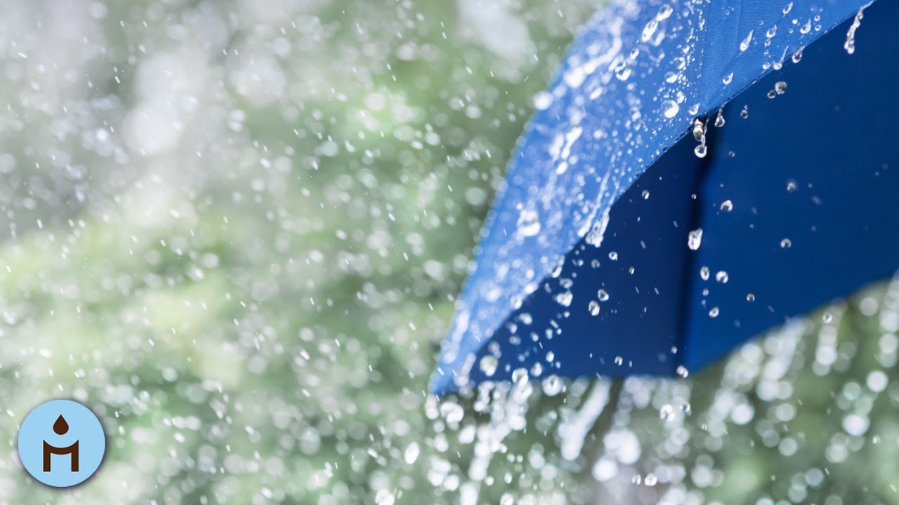 Nature Sounds: Rain Sounds One Hour White Noise for Sleeping, Sleep Aid ...