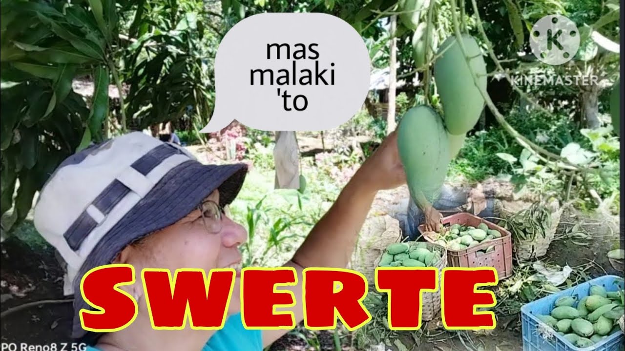 madaming pera 'to...@weirdoofficial8256 @zhekuletz09tv - YouTube