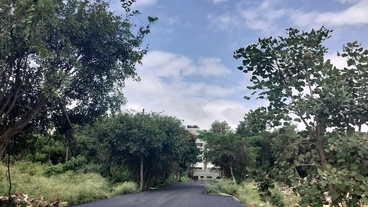 Sudden Plan to drive in Nice road || Beautiful weather || First time ...