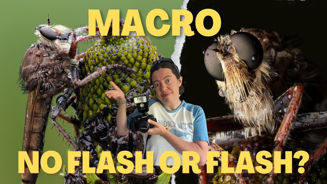 Flash or no flash for macro? - YouTube