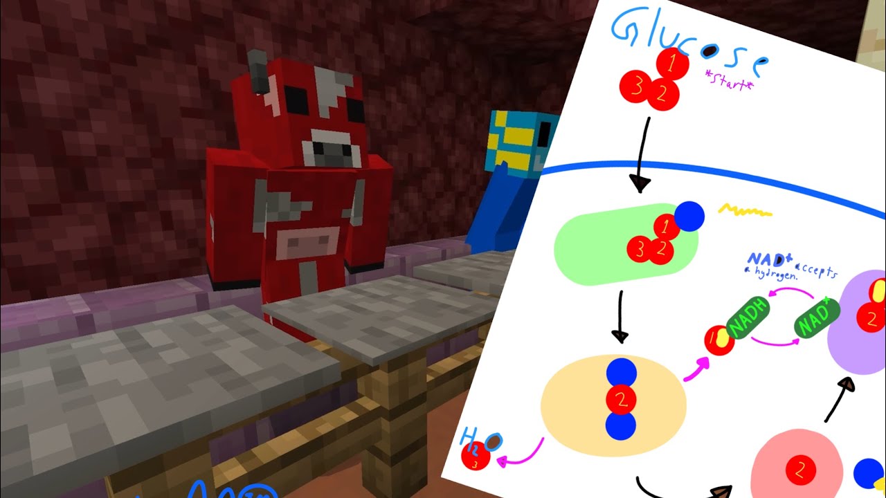 Learn Biology Through Minecraft -Ep. 5 -Something So Small - YouTube